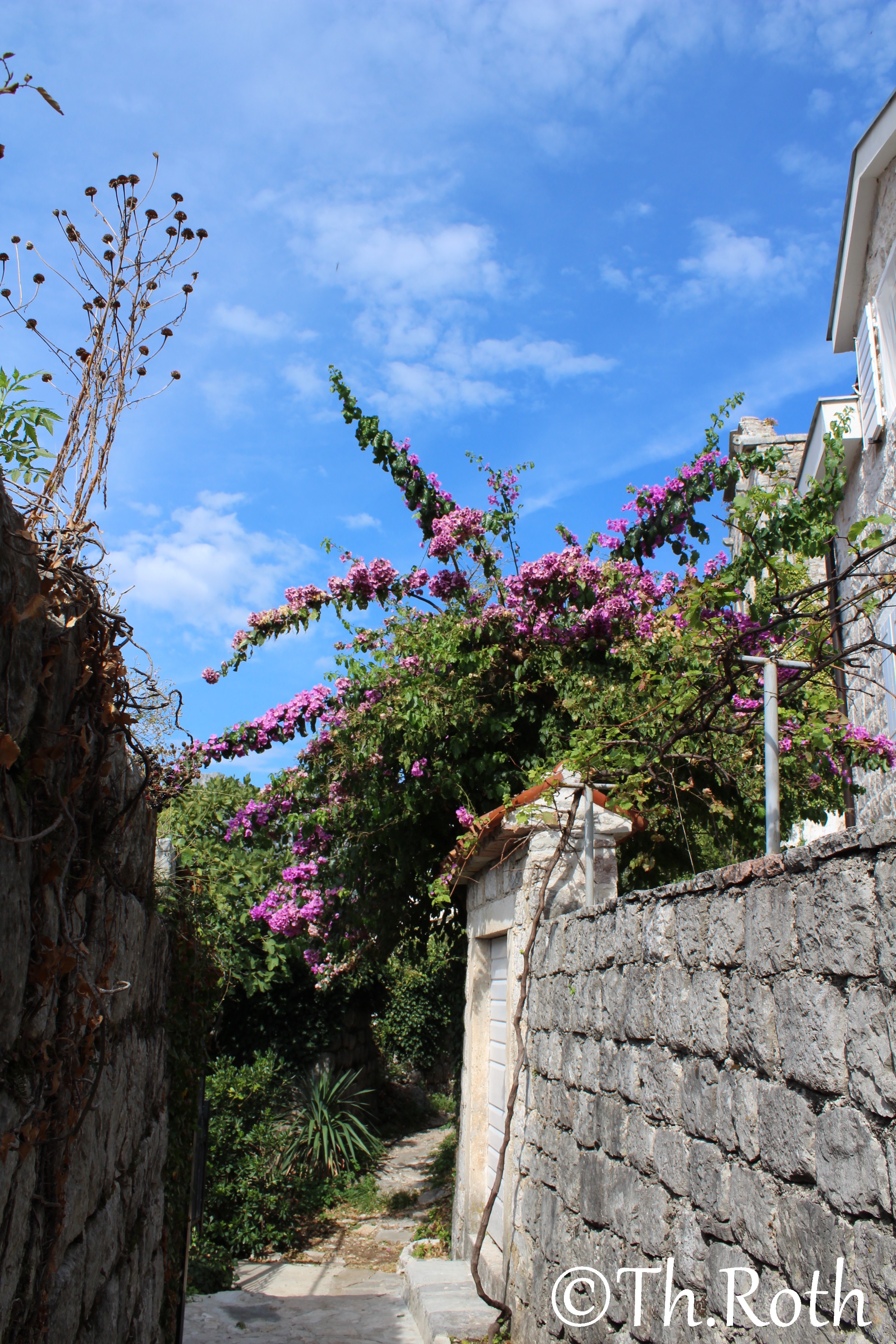 Perast - herrrothwandertwieder